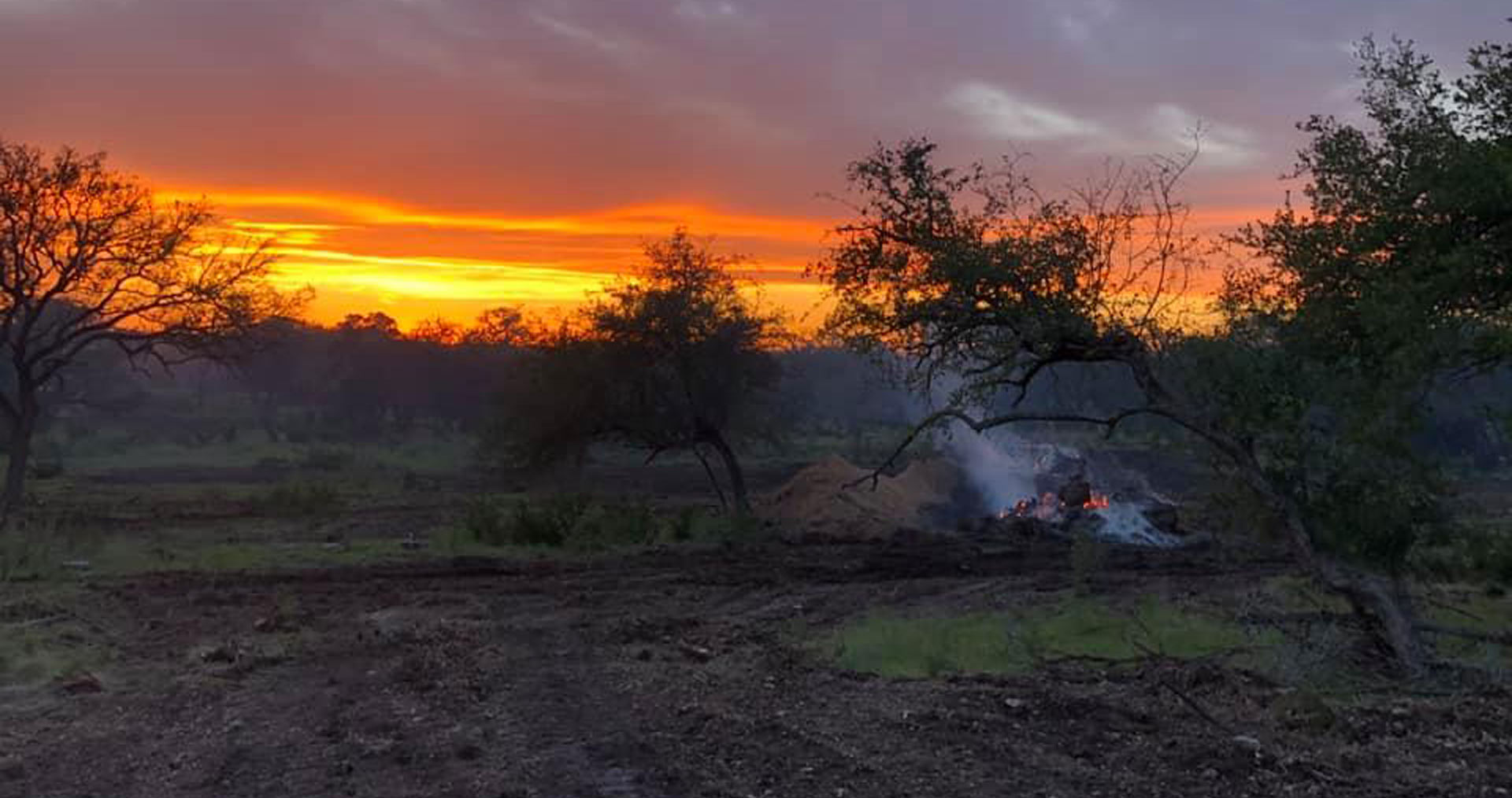 Gallery – Clearview Land Management